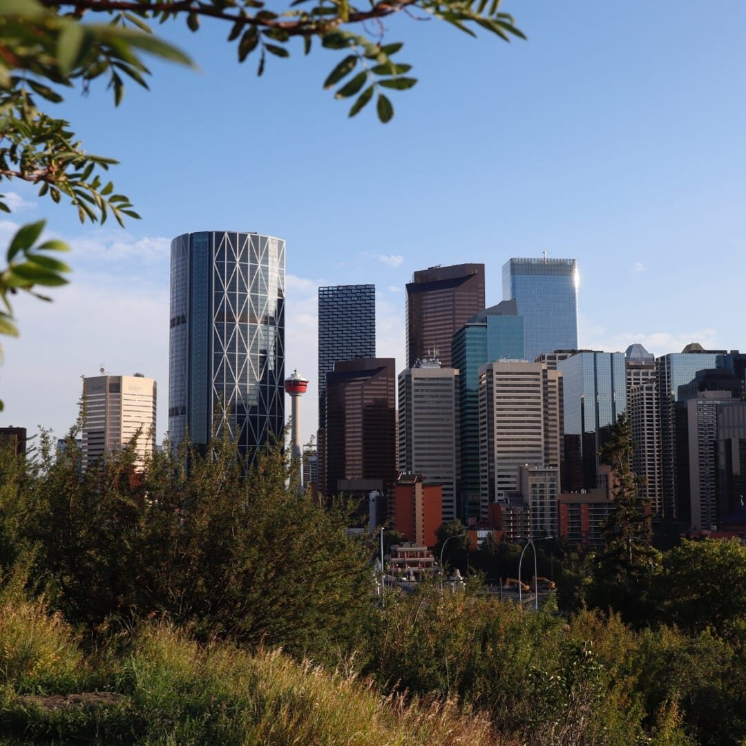 Home - Urban Matters : Urban Matters